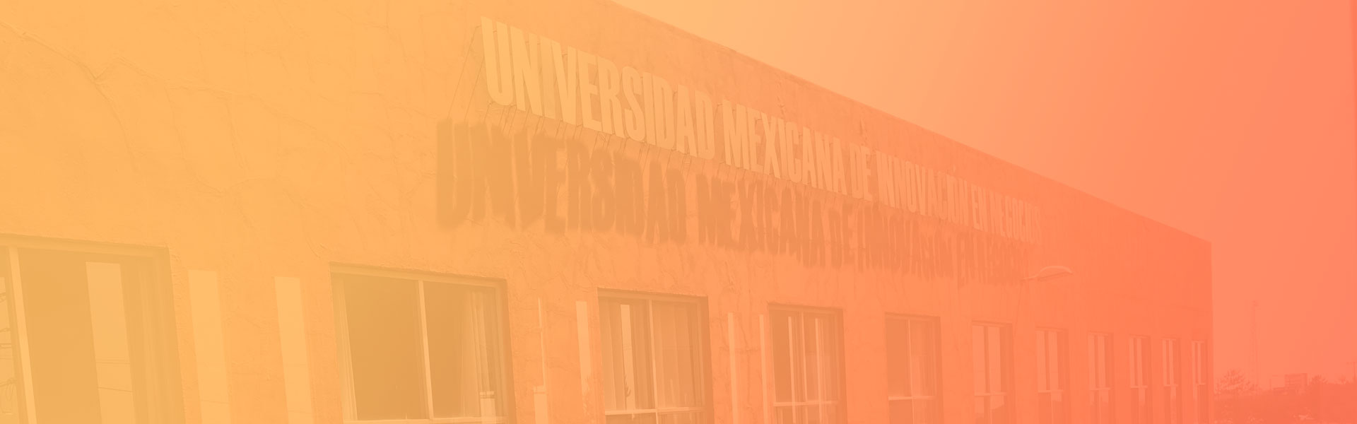 Universidad Mexicana de Innovación en Negocios